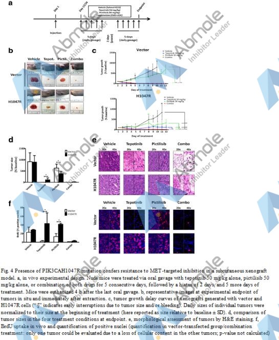 GDC-0941 (Pictilisib) (Pictilisib) | CAS 957054-30-7 | AbMole ...